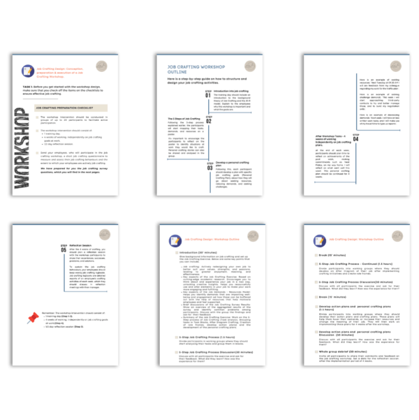 Job Redesign Workshop Guide - Work Unlocked